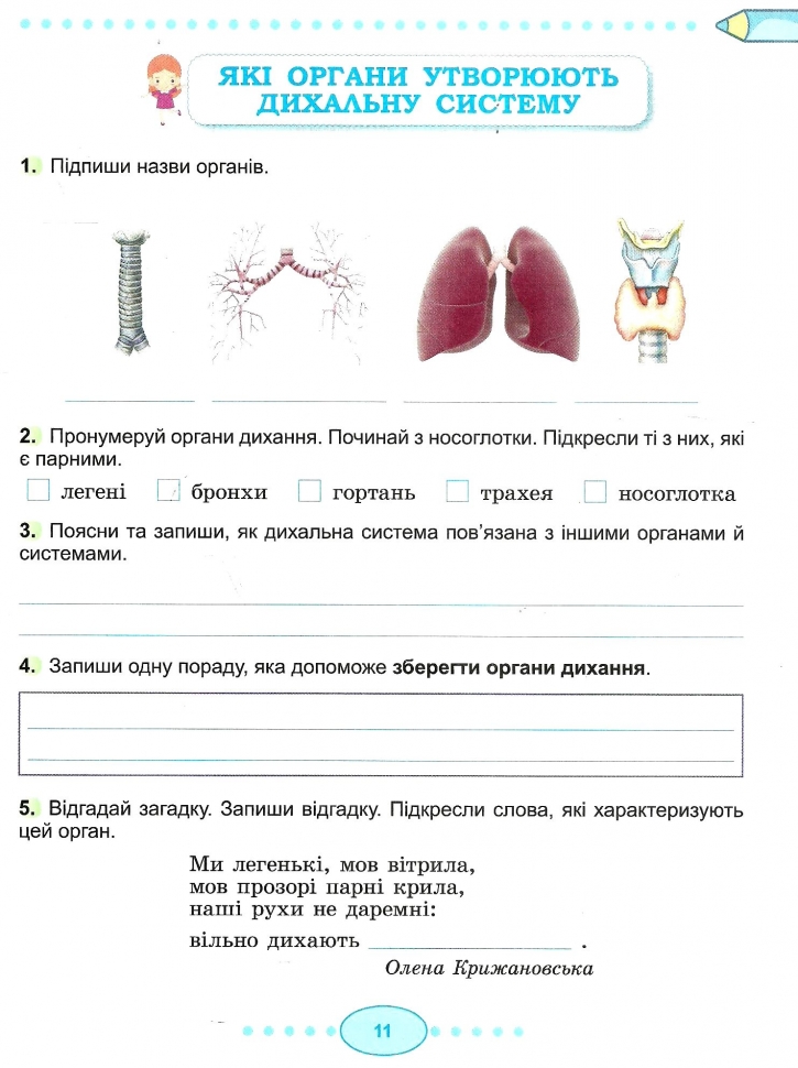 НУШ Я досліджую світ 3 клас Інформатика Робочий зошит Гільберт Т Г Частина 2